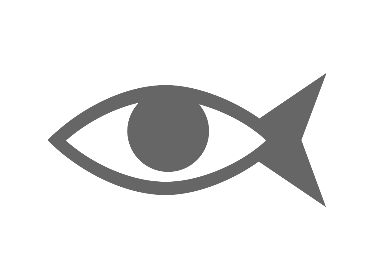 Dexigner - Design Talk